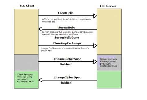 How Is The TLS Version Selected Between Client And Server Information Security Stack Exchange