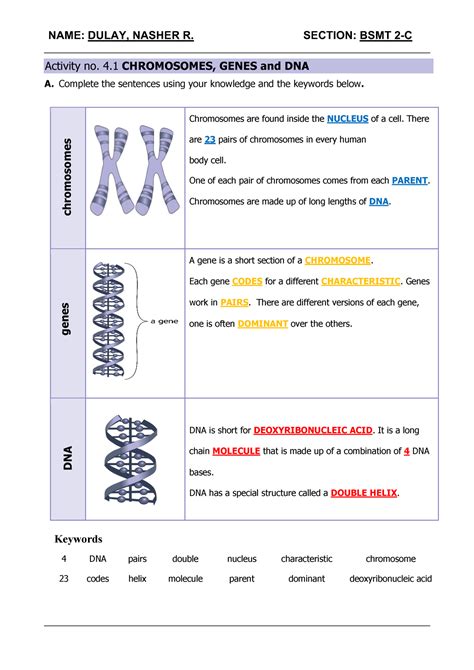 Activity No 4 1 Chromosomes Genes And Dna Name Dulay Nasher Worksheets Library