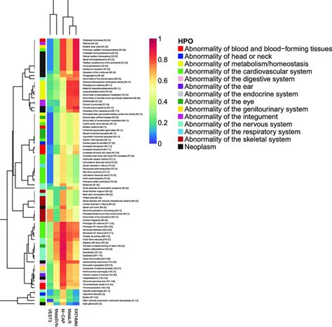 Heatmap Showing Auprc For Hpo Phenotypic Abnormality Terms Where Top Download Scientific