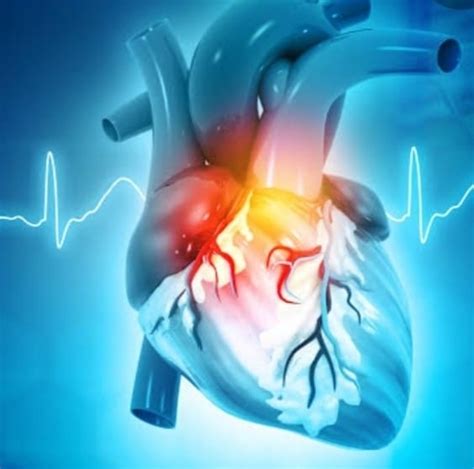 صحت سالم برای من وتو و همه