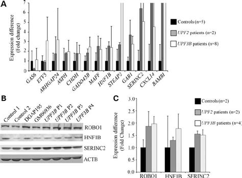 Validation Of RNA Seq Analysis A Validation Of MRNA Expression Download Scientific Diagram