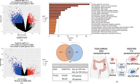 Genetic Profiling And Overall Design To Explore Radiation Resistance Download Scientific