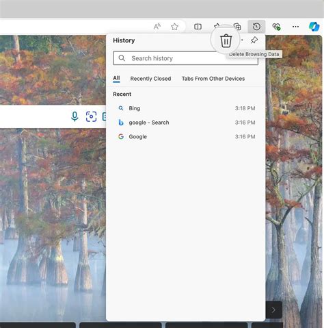 How To Clear Cache And Cookies On Your Browser SiteGround KB