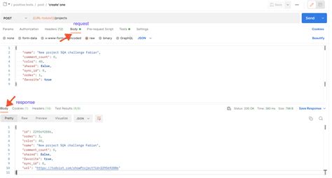 Body API Testing Material