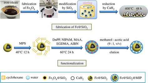 Schematic Of The Synthesis Process Download Scientific Diagram