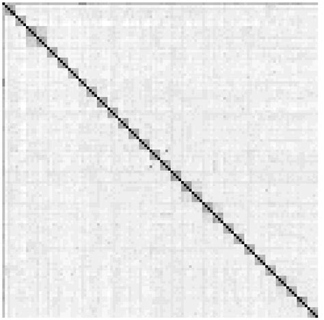 How Does The Heatmap Function In R Cluster The Data An How Can We Get The Number Of Groups