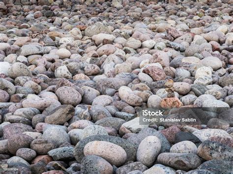 해안 클로즈업에 자갈의 자연 배경 북쪽 바다의 해변 표면은 다른 크기의 회색 색상의 큰 광택 둥근 돌로 덮여있다 0명에 대한 스톡 사진 및 기타 이미지 Istock