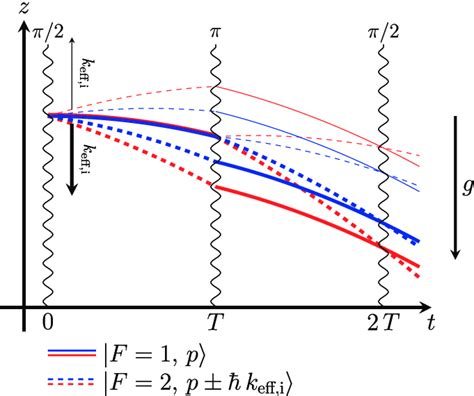 Space Time Diagram Of A Dual Species Mach Zehnder Matter Wave