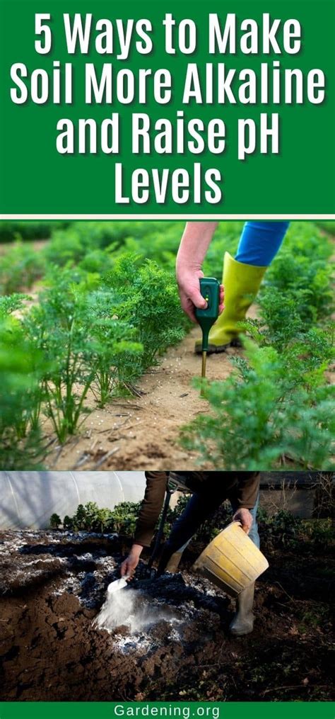 When Soil Is Too Acidic For The Plants That Are Growing In It You Ll Need To Adjust The Soil S