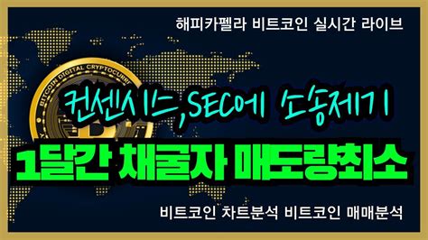비트코인 실시간 1달간 채굴자 비트 매도 최소 컨센시스 Sec 소송제기 426 아침💎비트코인 비트코인실시간 이더리움 리플 Cryptocurrency 차트분석