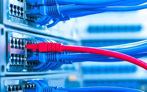 Everything You Need To Know About Data Point Installation Paint Pulse