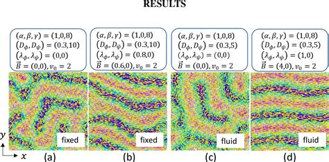 Figure 1 From Origin Of Anisotropic Diffusion In Turing Patterns Semantic Scholar