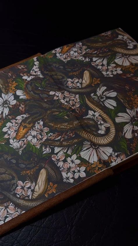 მეწიგნე 📚 Mewigne • Instagram Photos And Videos