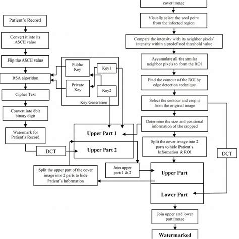 Dct Transformation Functions From Spatial To Frequency Domain Download Scientific Diagram