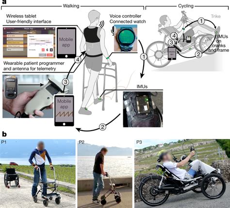 Spatiotemporal Ees In Ecological Settings A System To Support Download Scientific Diagram