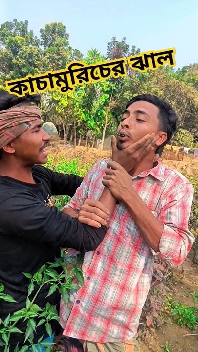 কাচা মুরিচের ঝাল Comedyfilms Funny Funnycomedy Youtube