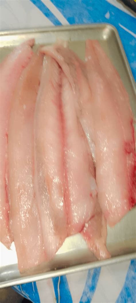 Grouper Fillet Emjay Sea Foods