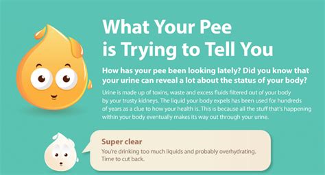 Infographic If Your Pee Could Talk This Is What It Would Tell You HealthWorks Malaysia