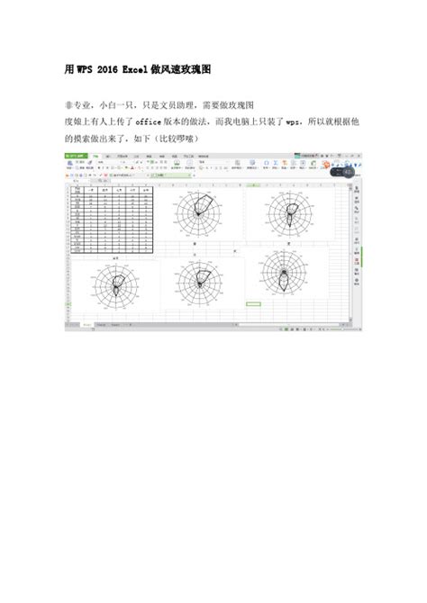 基于excel 2010的风向玫瑰图绘制研究 文档之家