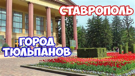 Ставрополь - самый красивый и зеленый город. Прогулка по центру ...