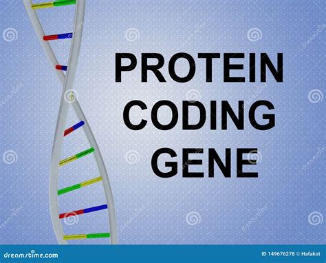 Protein Coding Gene Concept Stock Illustration Illustration Of