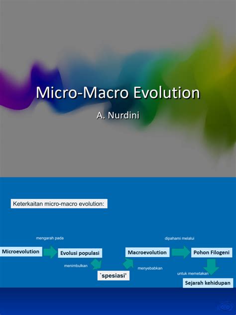 Micro Macro Evolution Pdf