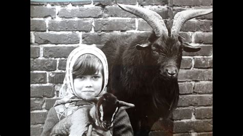 15 июня День создания юннатского движения в России Youtube