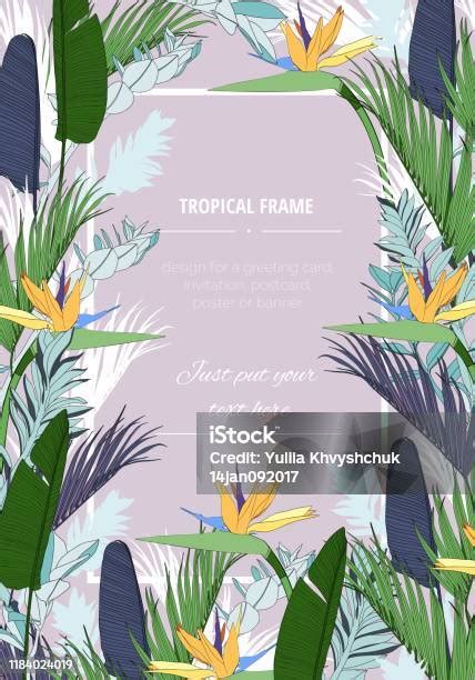 열대 정글 야자수 잎과 낙원 스트렐리시아 꽃 프레임입니다 가운데에 있는 텍스트 자리 표시자입니다 보라색 색상의 결혼식 이벤트 초대장 0명에 대한 스톡 벡터 아트 및 기타