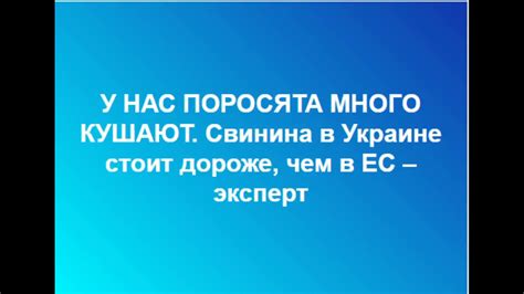 Почему цена на свинину в Украине выше, чем в ЕС - YouTube