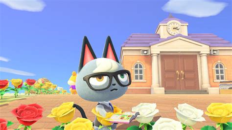 Raymond Ranimalcrossing