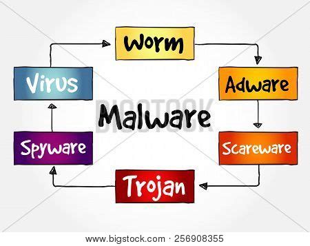 Malware Mind Map Image Photo Free Trial Bigstock