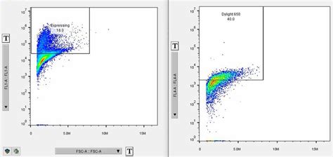 How To Subtract Background Signal Or Outlier Events In Flowjo Plots