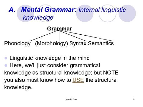 Syntax Definition Of Syntax Types Of Grammar Hierarchical