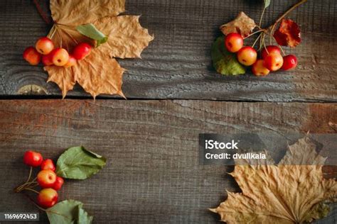 단풍 나무 잎과 작은 사과 프레임 텍스트에 대한 빈 공간이 나무 판자 10월에 대한 스톡 사진 및 기타 이미지 10월 가을 갈색 Istock