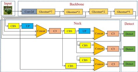 The Structure Of The G Yolo N Algorithm Download Scientific Diagram