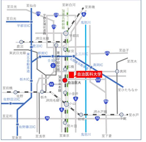 当研究室の案内 自治医科大学 分子病態治療研究センター 抗加齢医学研究部