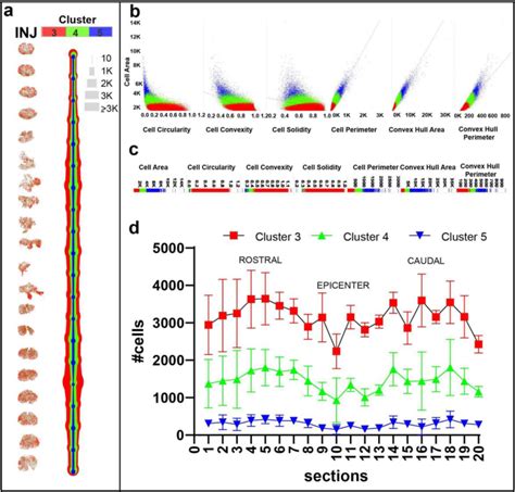 Targeted Therapy And Deep Learning Insights Into Microglia Modulation