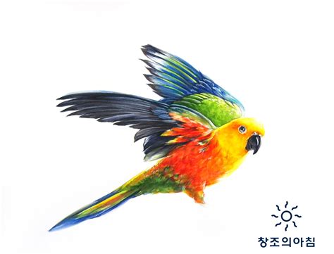 기초디자인 건국대 기디 입시미술 기초디자인 개체묘사 새 앵무새 일러스트 디자인 새 새 그림 앵무새