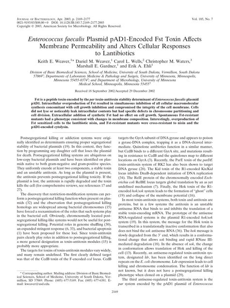 Pdf Enterococcus Faecalis Plasmid Pad1 Encoded Fst Toxin Affects Membrane Permeability And