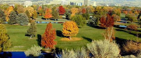 26163 Boise Impolicy Fcropandw 1200andh 500andq Medium