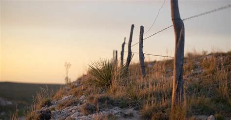 Cattle Fence Maintenance Fred Nuncio Fencing Cattle Fence Maintenance Fred Nuncio Fencing
