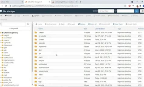 Setup Web Hosting Install Cpanel Email Dns Cpanel Whm Php Script