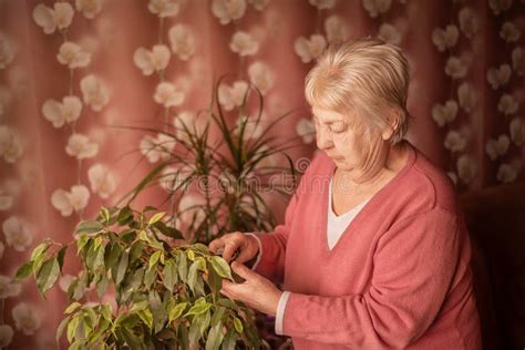 Oma Heeft Plezier Oma Speelt Oma Is Triest Stock Foto Image Of Vrolijk Huis