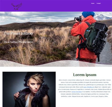 Themes Wordpress Themes And Website Templates From Templatenb