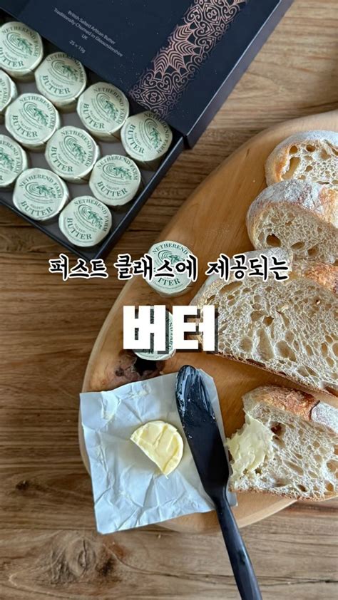 구월마님 이혜선 ⠀ ⠀ 목련꽃 그늘 아래서 베르테르의 편질 읽어야 하나 ⠀ 오늘의 마당 라이프는 봄을 집안으로 들이기