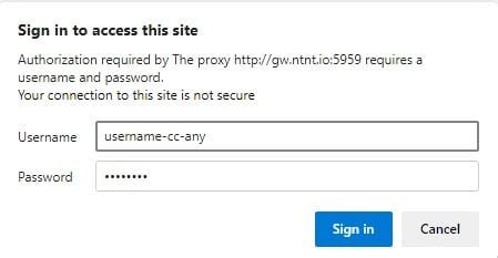 How To Configure Proxy Settings On Internet Explorer NetNut