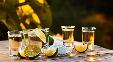 Qu'est-ce que la tequila : origine, conseils de dégustation, sélection ...