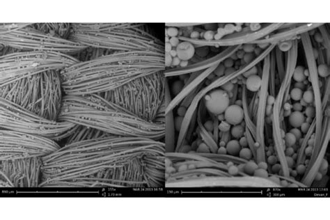 Contract Analysis Polymers Scanning Electron Microscopy Sem Paralab