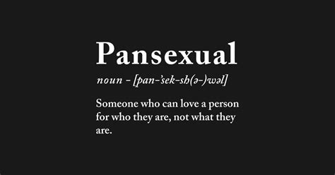 Pansexual Definition Pansexual T Shirt Teepublic