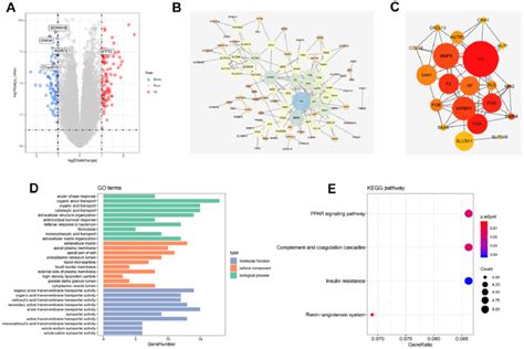 identification of degs between high and low t classification ppi